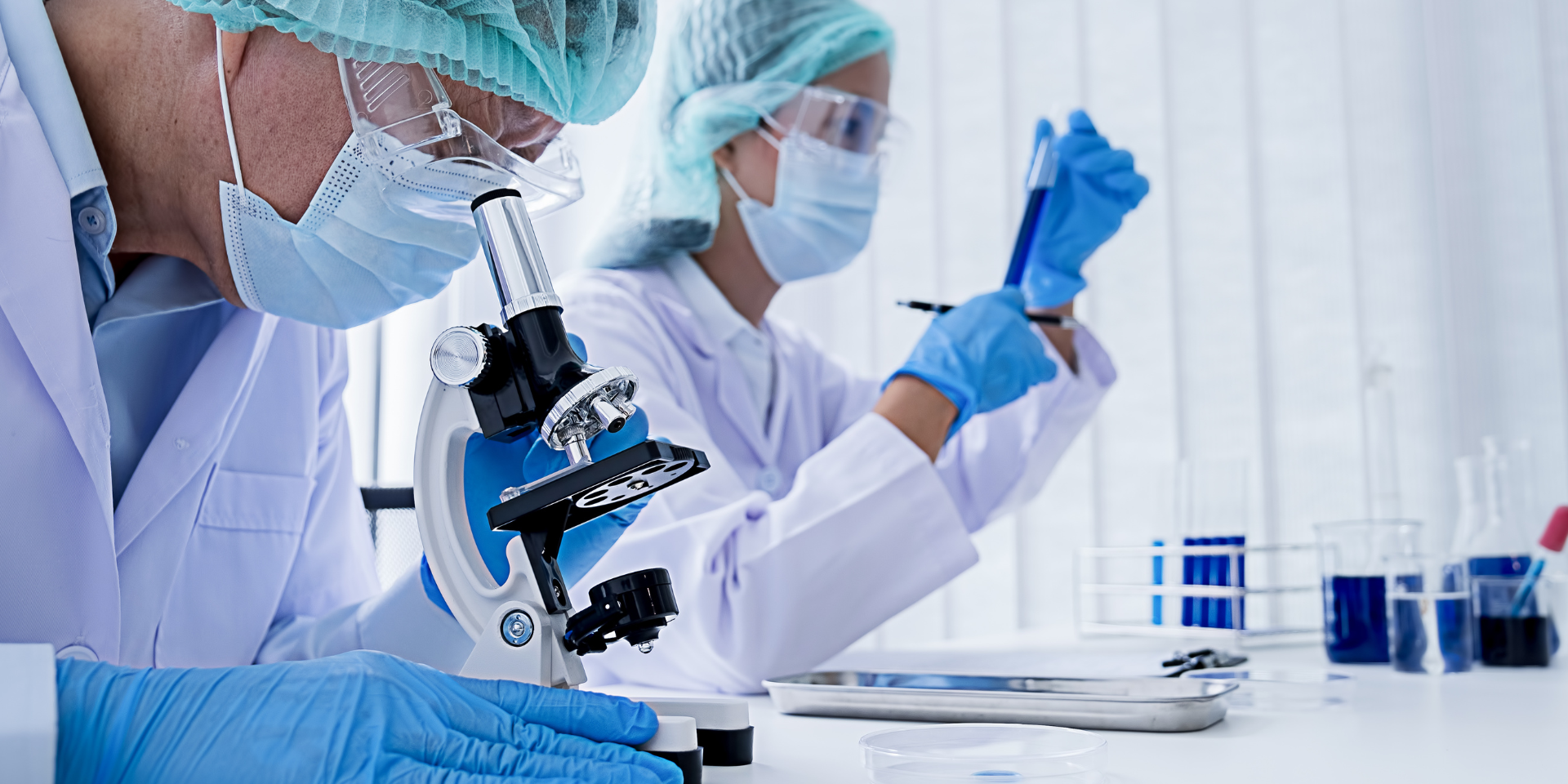 Día Mundial de la Inocuidad Alimentaria 2023. - ALAIAB