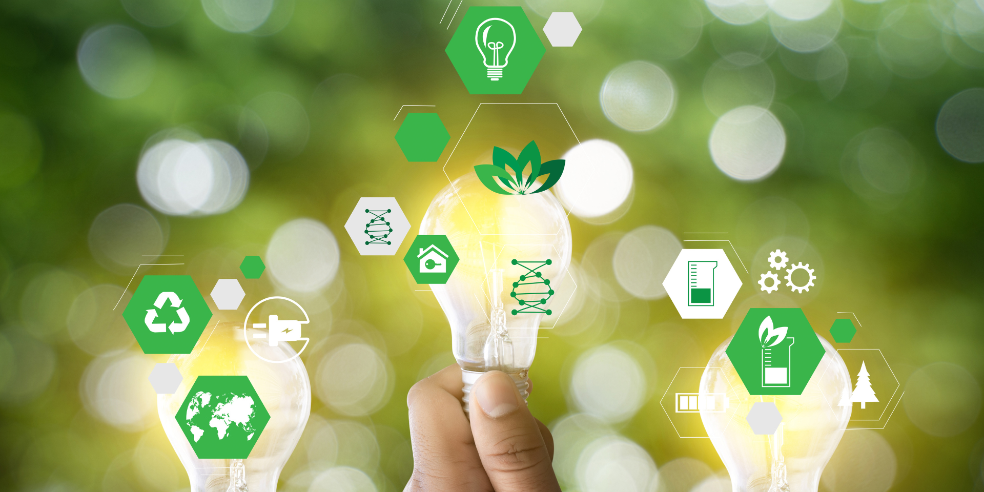 ALAIAB reitera su compromiso para construir un instrumento ...