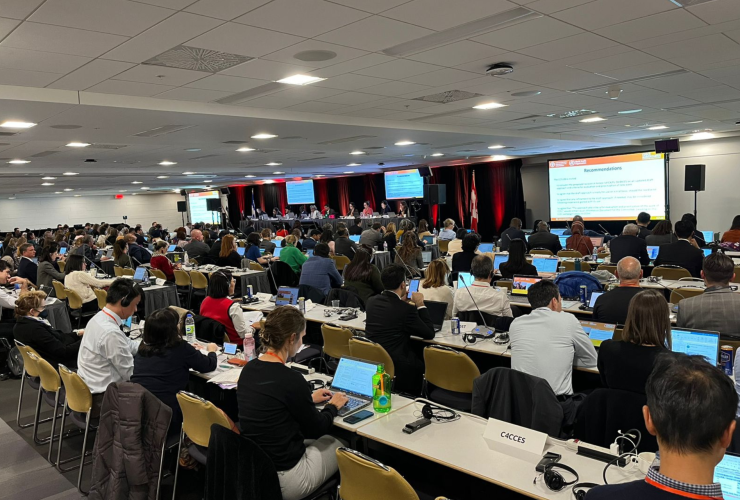 Procesar para progresar: Ciencia, tecnología e innovación en la ...