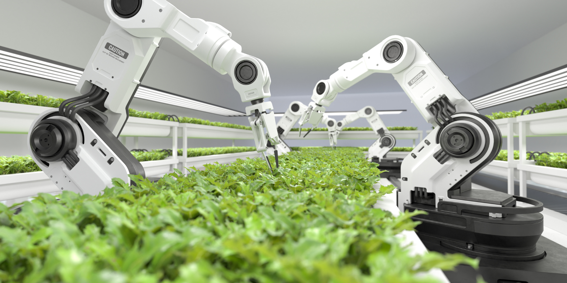 Pérdidas y desperdicios de alimentos en Latinoamérica: Desafíos y ...